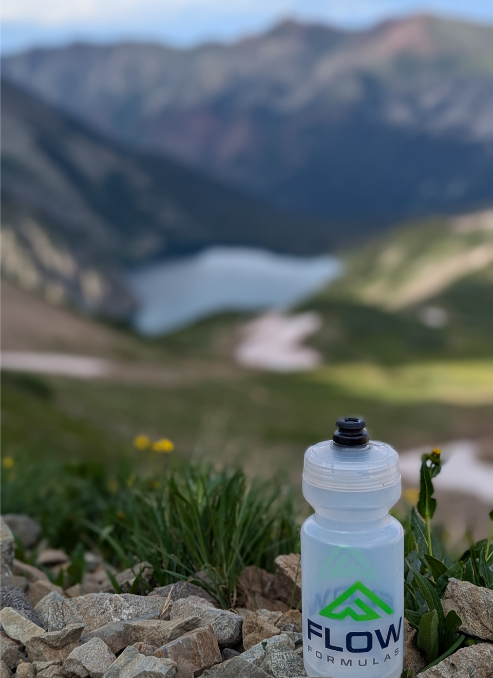 Research Based, Allergen Free, GI Sensitive Endurance Nutrition – Flow ...